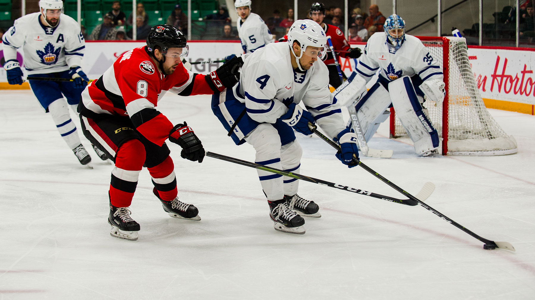 Preds Acquire Carcone from Toronto - Milwaukee Admirals