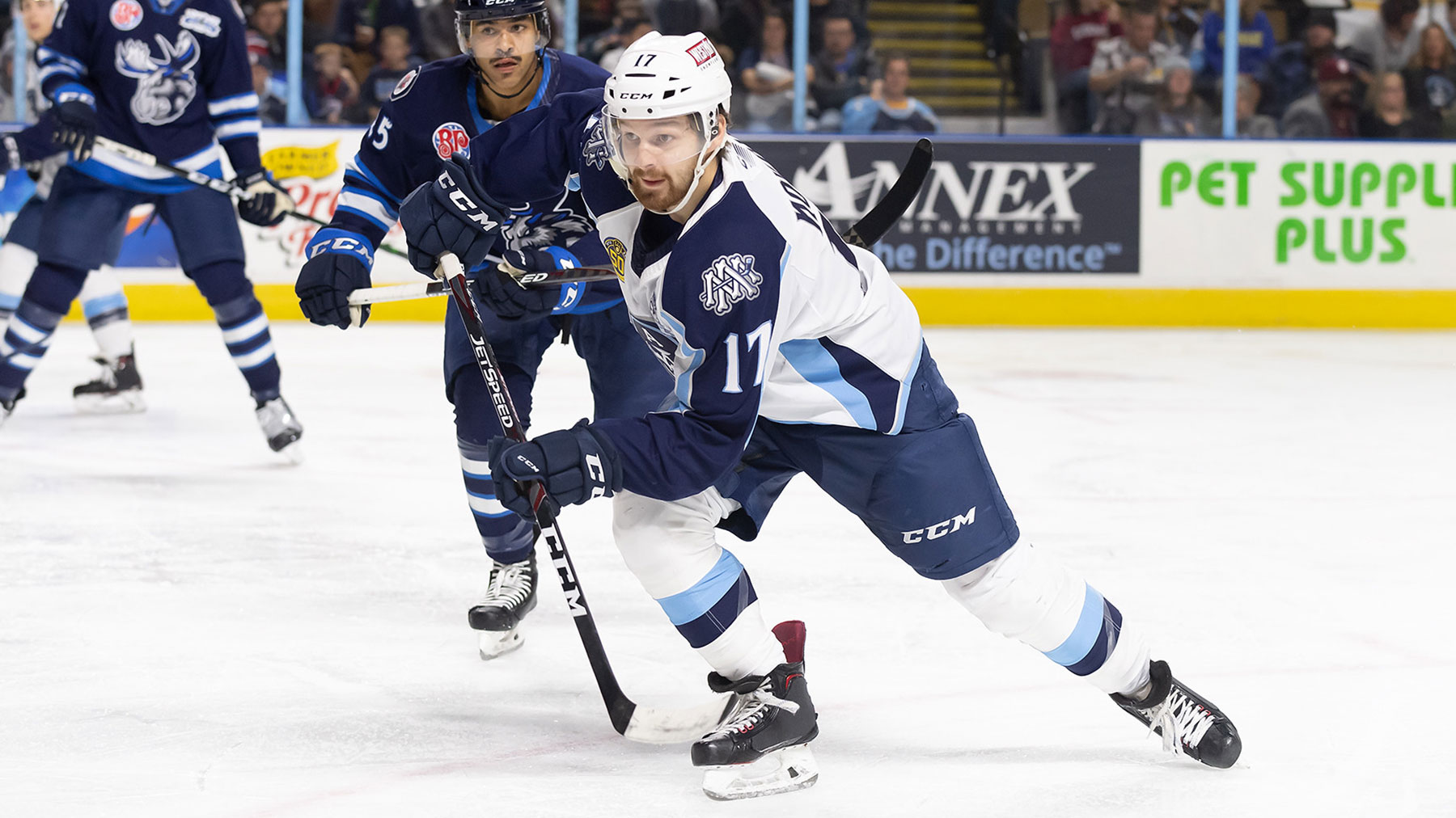Novak Returns to Milwaukee - Milwaukee Admirals