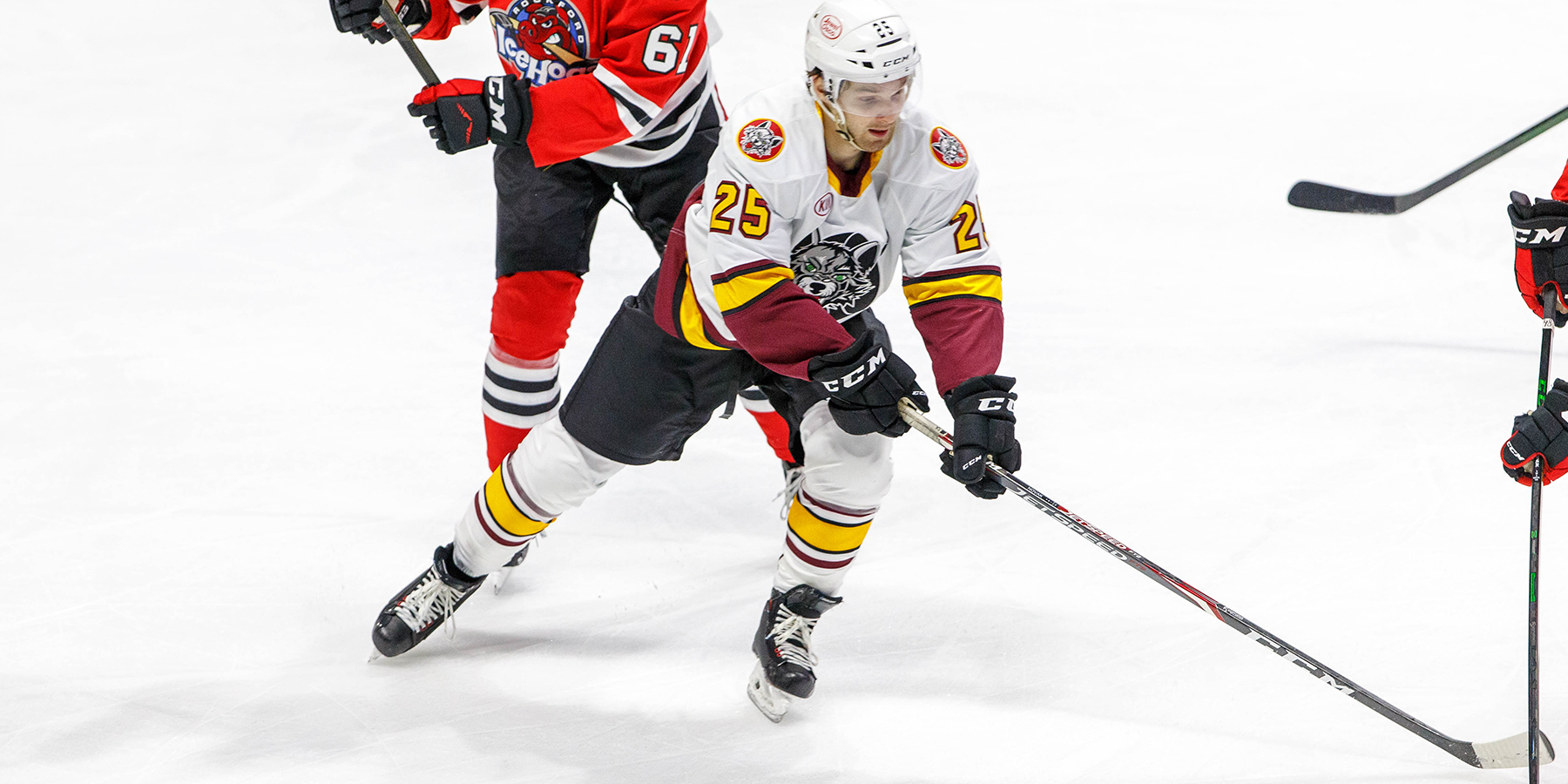 Novak Stays Hot to Start Season - Milwaukee Admirals