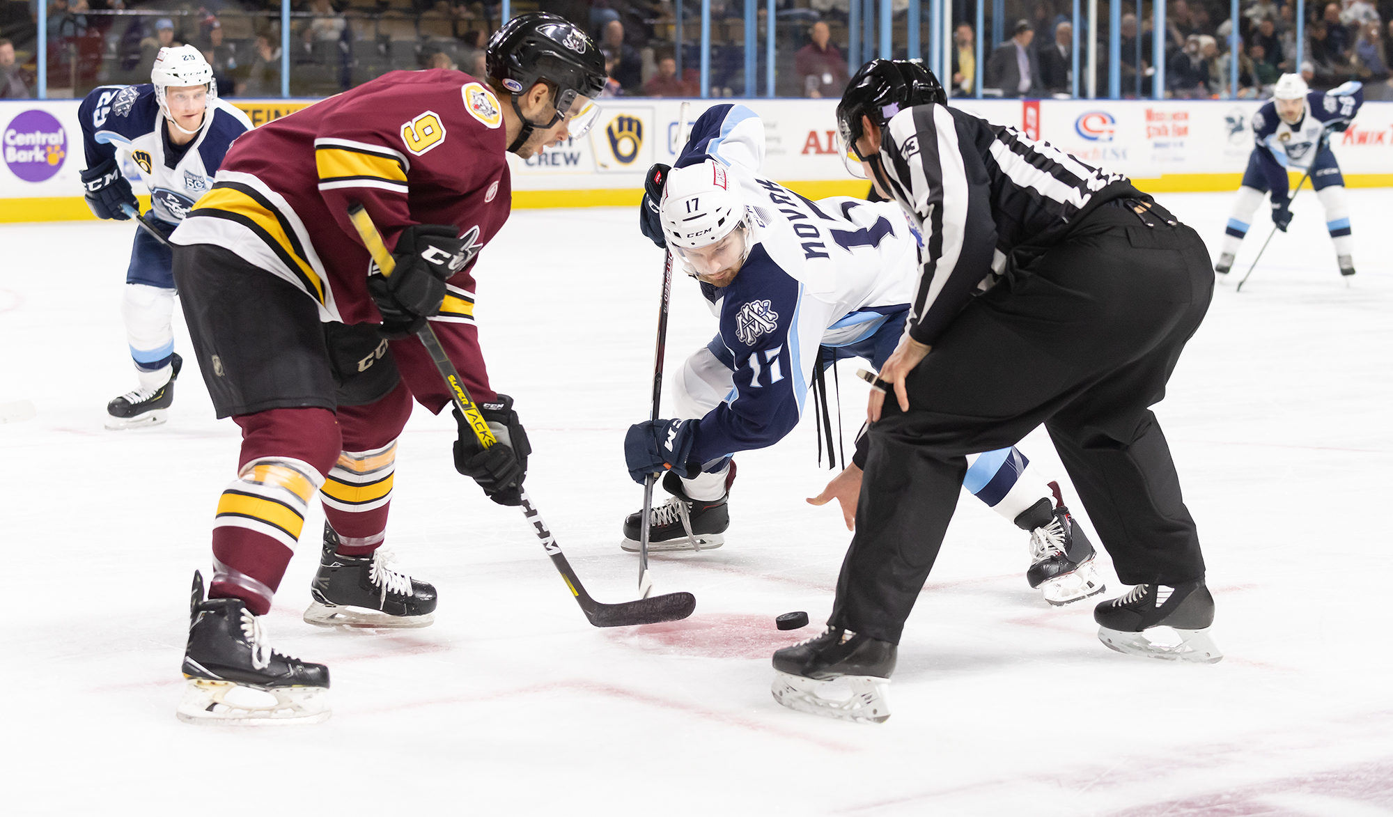 Ads Set Pre-Season Schedule - Milwaukee Admirals