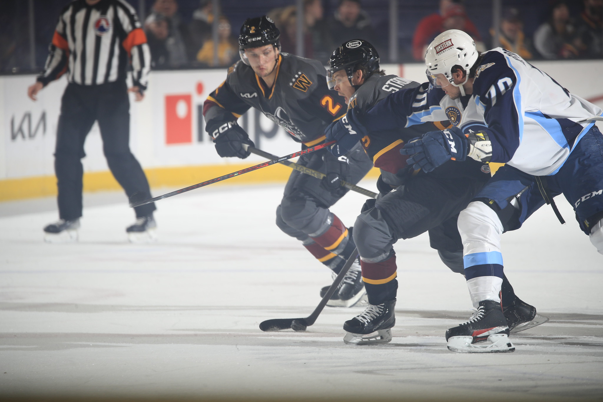 Ads Struggle to Tame Wolves - Milwaukee Admirals
