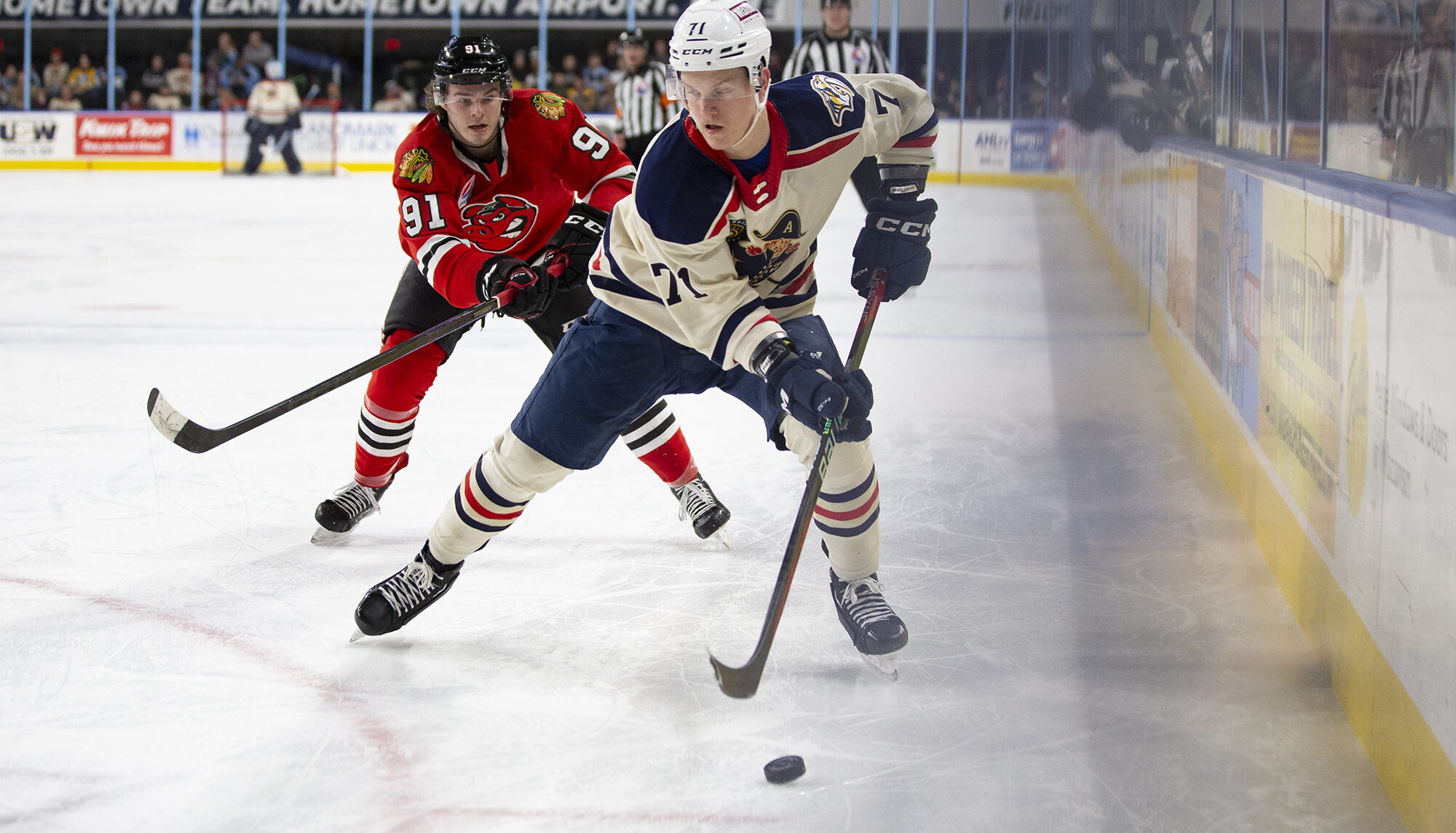 Admirals Tripped Up by Hogs - Milwaukee Admirals