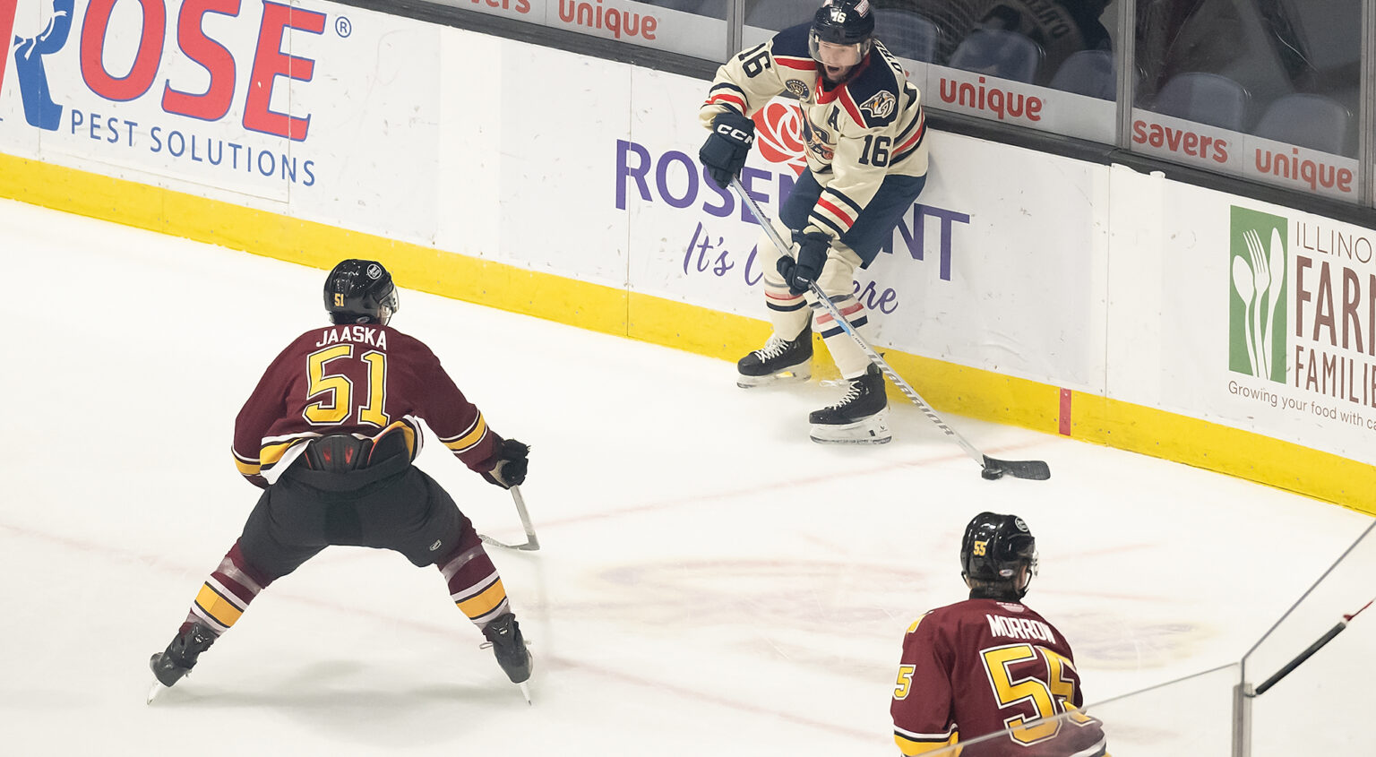 O’Reilly’S day marred by Wolves’ win over Ads | Pro Hockey News