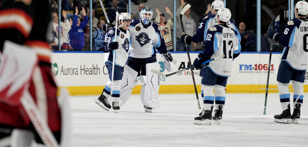 Ads Take Wild Affair over Griffins - Milwaukee Admirals